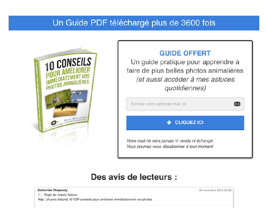 Get Affiliate Marketing Landing Page Examples Images